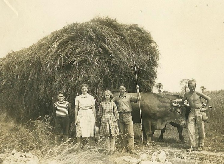 La récolte | Ferme de la Fayaudrie La récolte | Ferme de la Fayaudrie